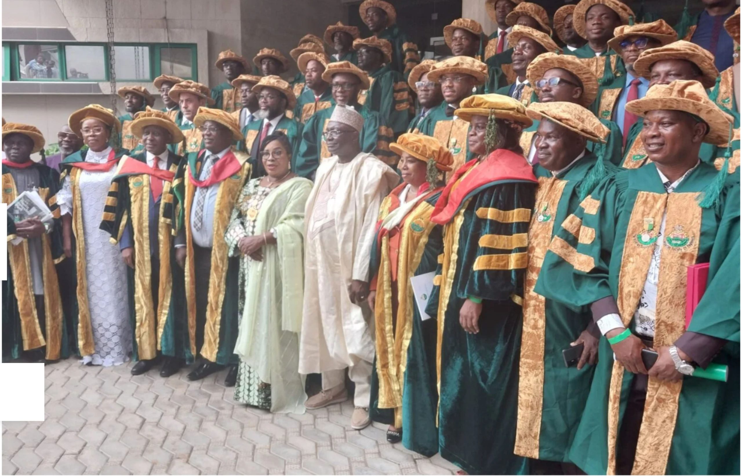 NSE: 63 engineers confer with fellowships – Hensard Times