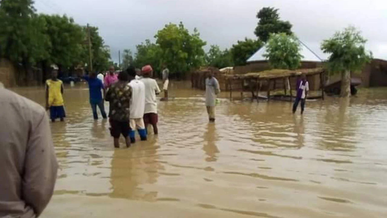 Flood: Rivers residents solicit government intervention in freeing ...