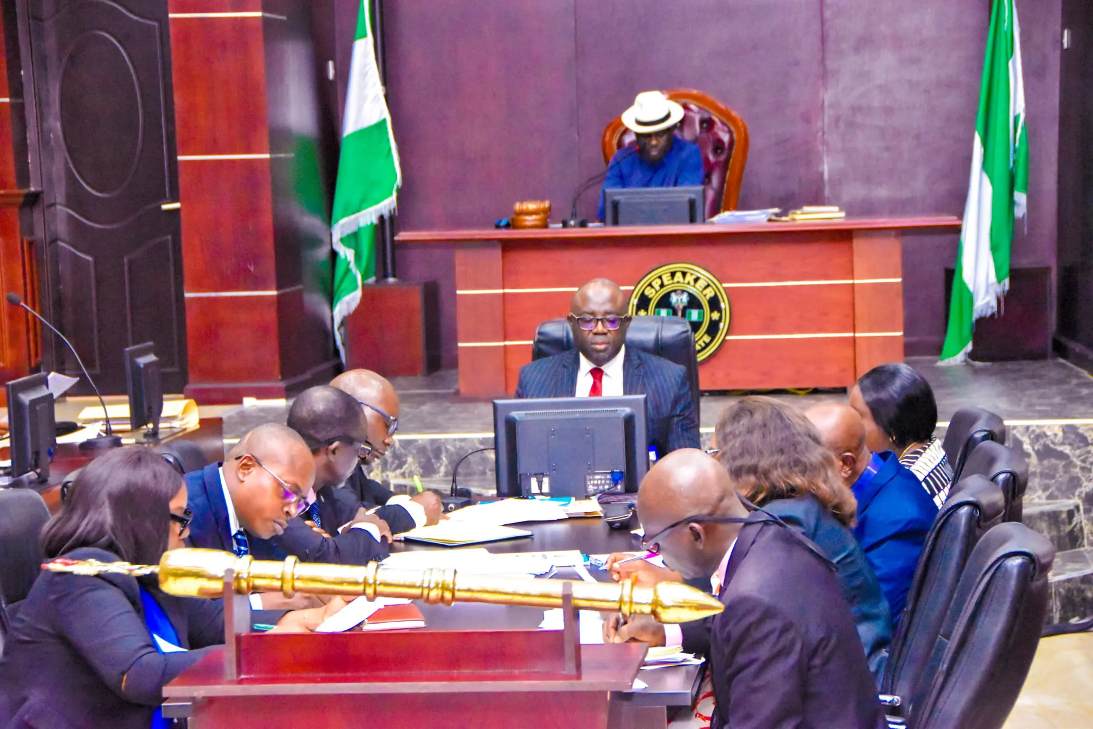 Community Security Corps Agency bill scales first reading in Delta ...