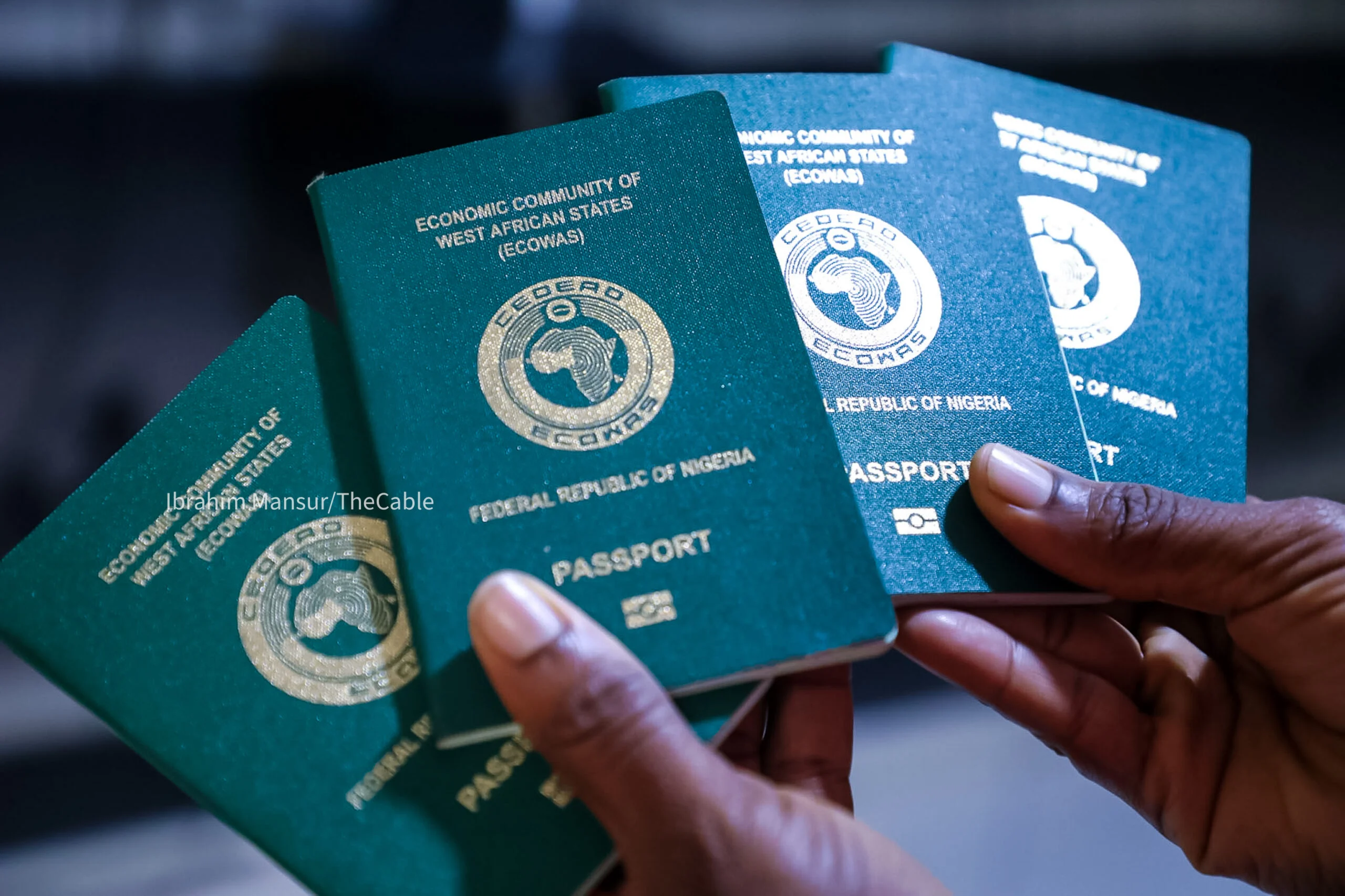 Passport, visa services to continue despite U.S. govt shutdown – U.S. embassy – Hensard Times